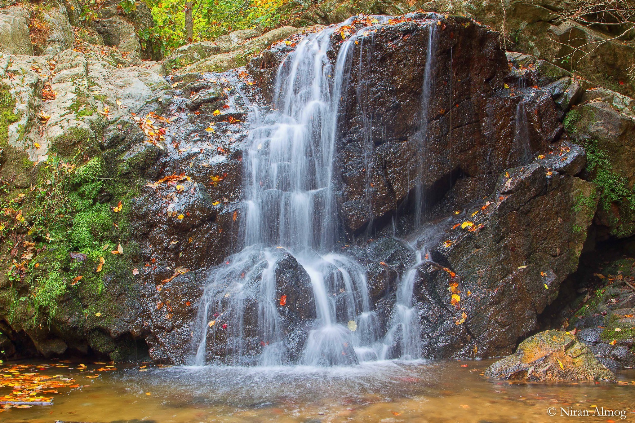 These Are The Best Waterfalls Near Baltimore to Visit, See and Explore ...