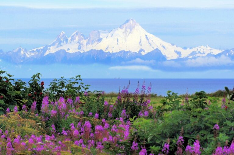 Alaska - American Beautiful