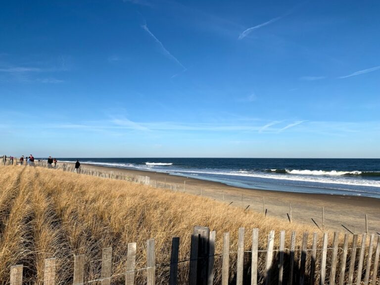 The Best Beaches In Delaware - American Beautiful