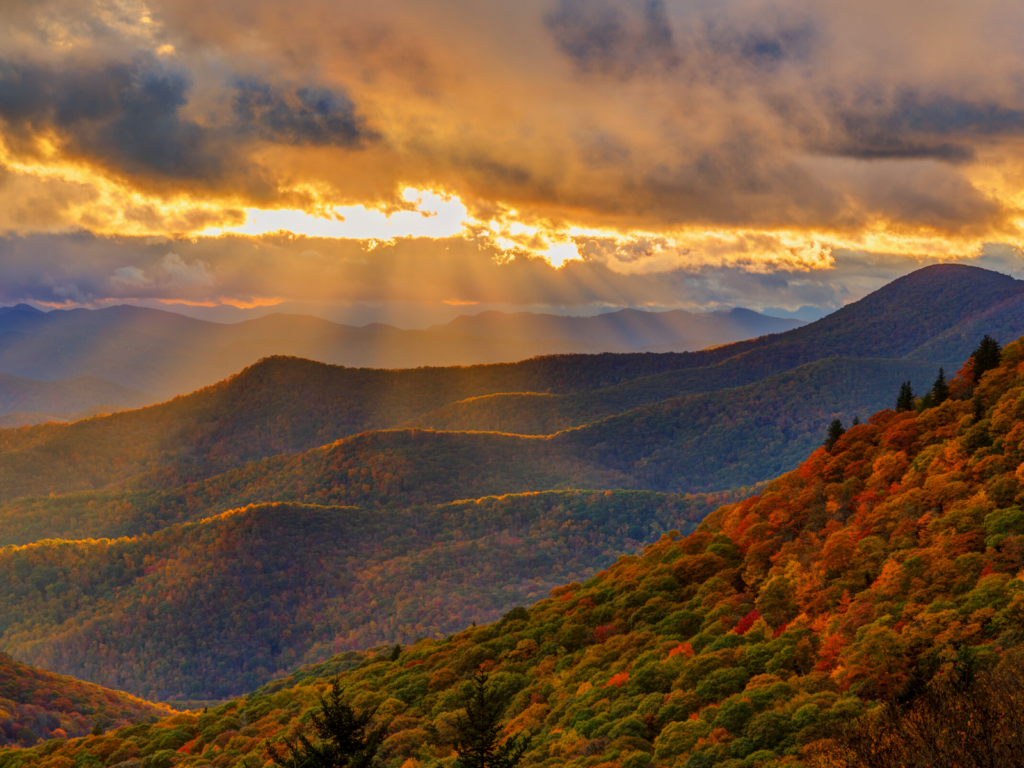 Things To Do In North Carolina in the Fall - American Beautiful
