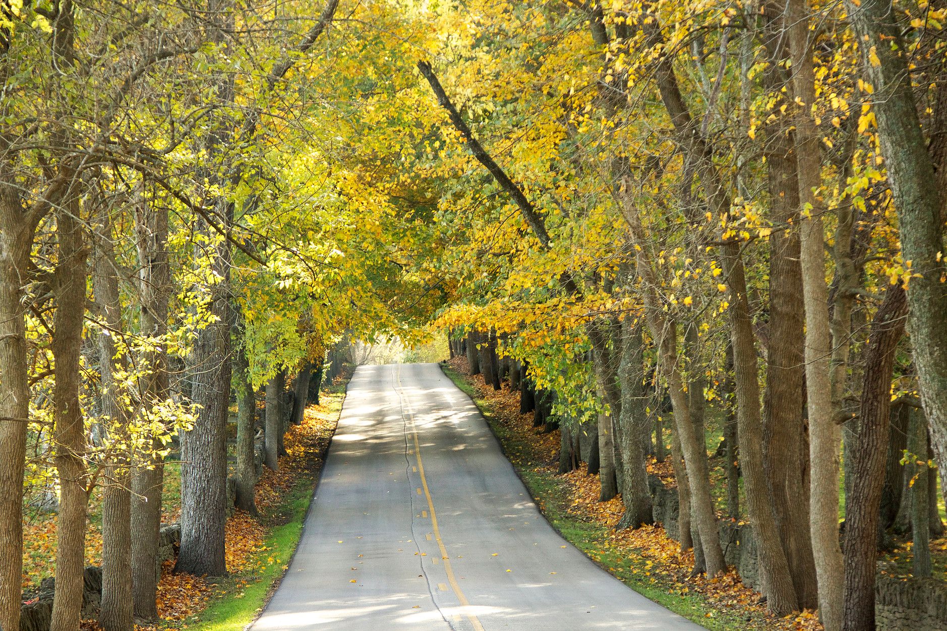 The Best Fall Foliage in Kentucky - American Beautiful