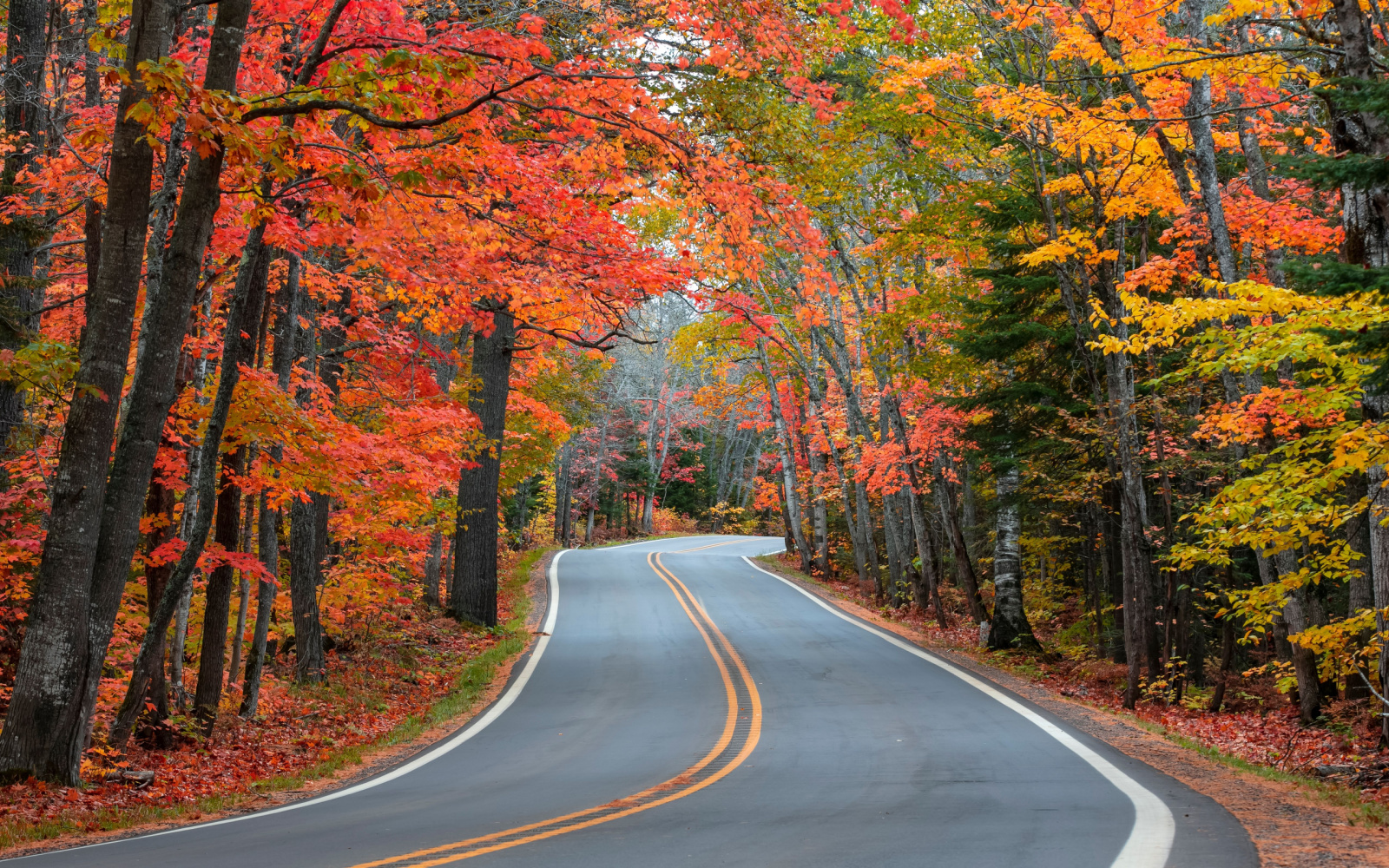 Where To See The Best Fall Foliage in Michigan - American Beautiful