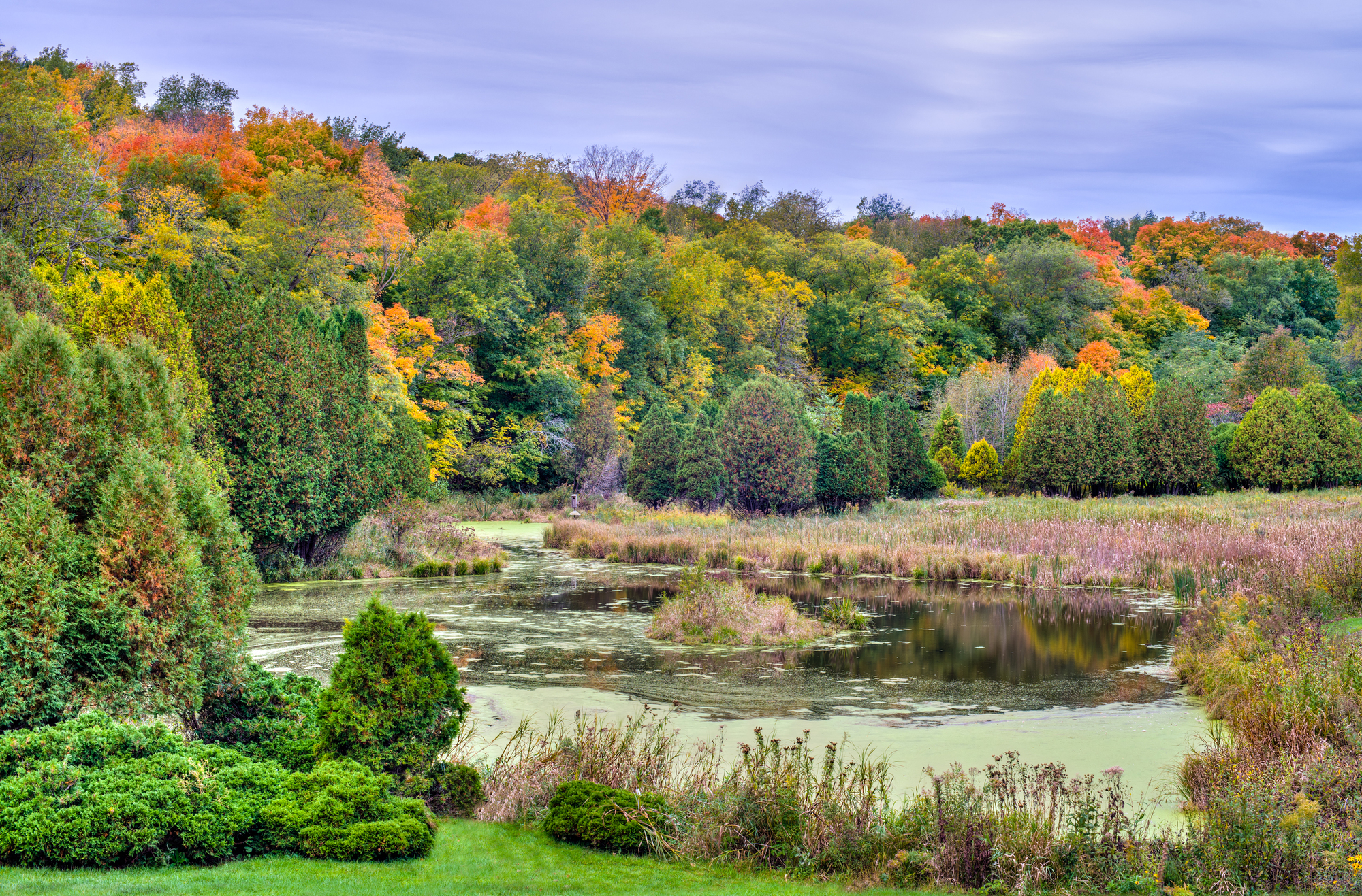 The Best Fall Foliage in Minnesota - American Beautiful