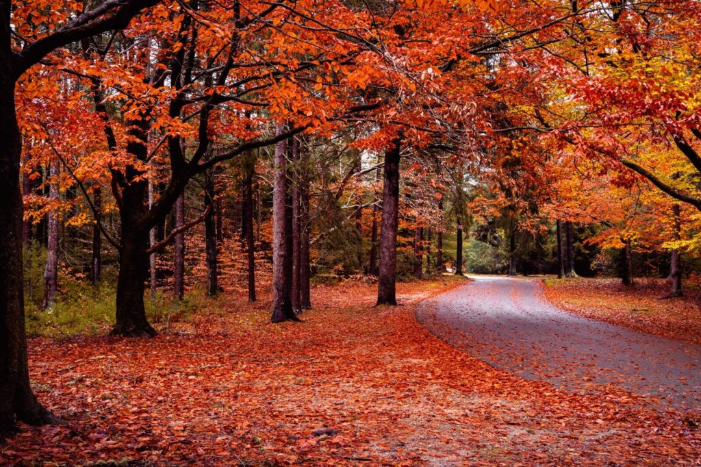 Best Places to See Fall Foliage in Massachusetts - American Beautiful