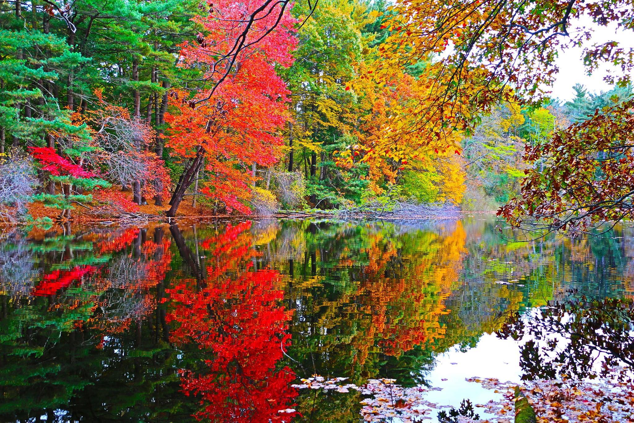 Fall Foliage in Rhode Island - American Beautiful