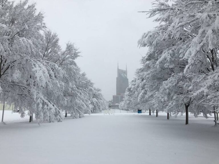 What Does Snowfall in Tennessee Look Like? - American Beautiful