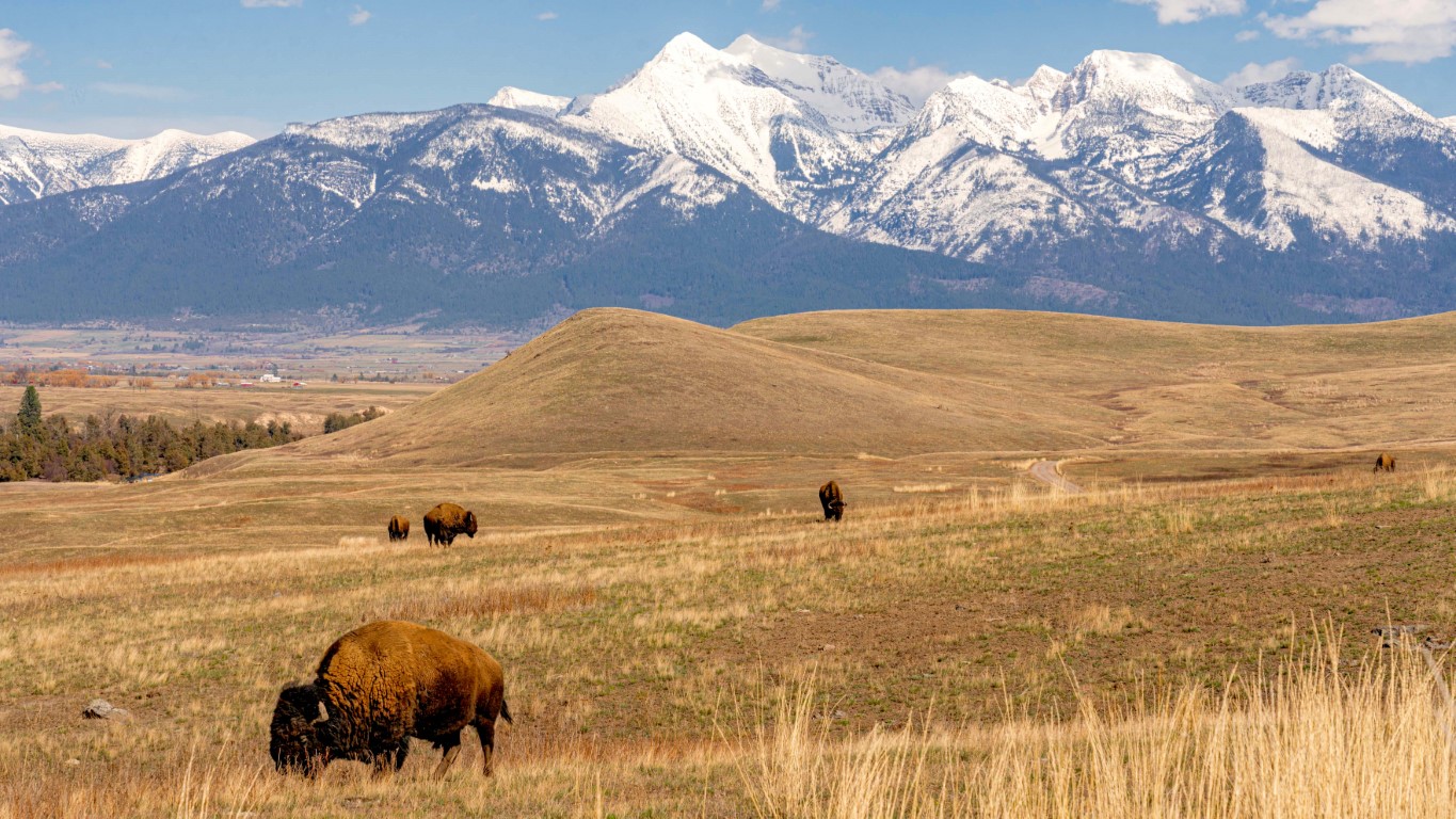 The National Bison Range - American Beautiful