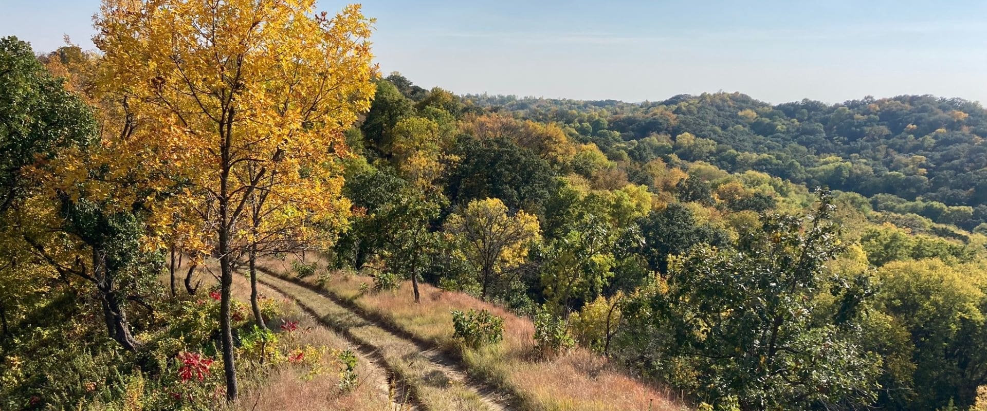 Short Hiking Trails In Iowa That Everyone Can Enjoy - American Beautiful